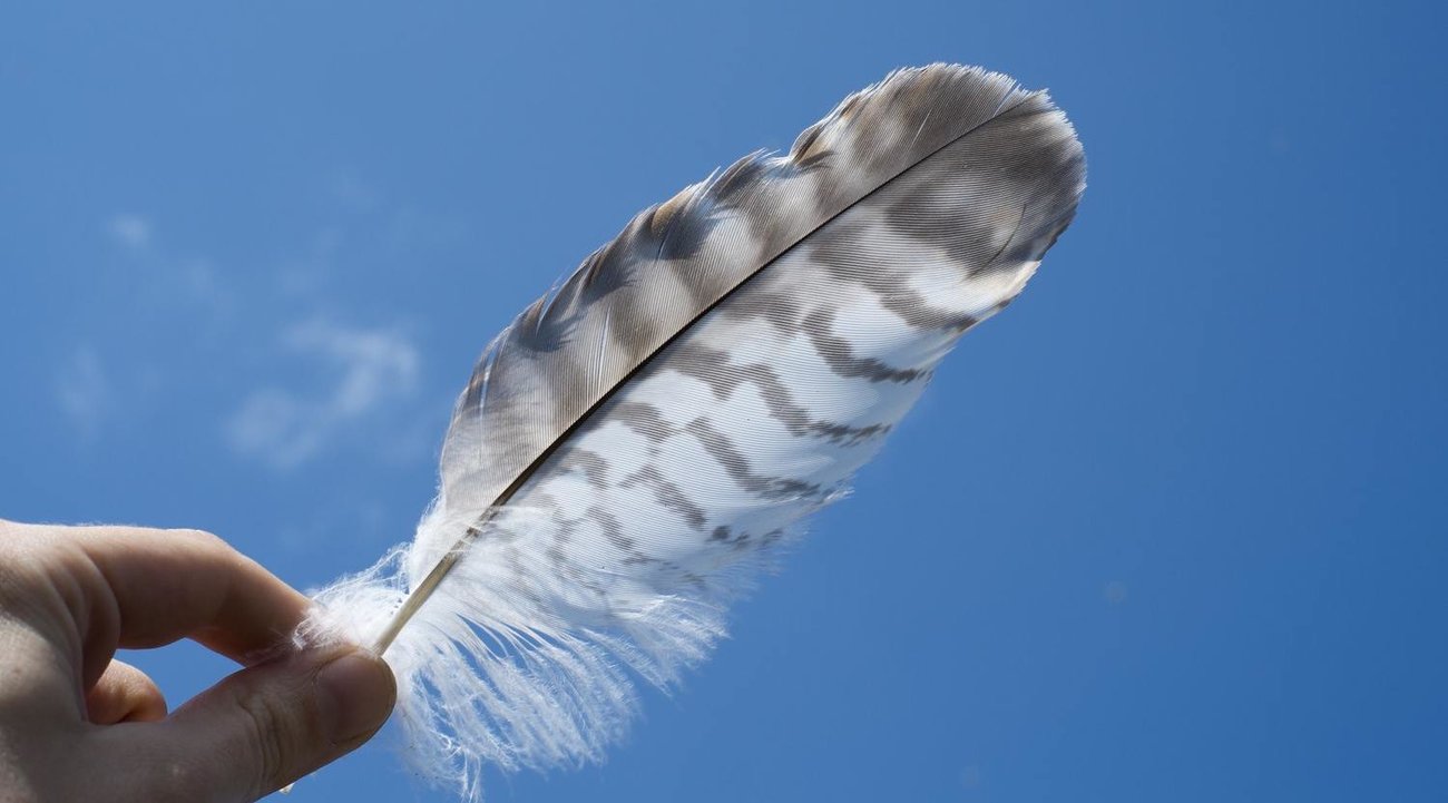 Video interview types: What are embedded video interviews? | Recright